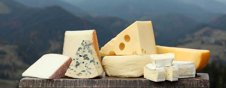 The Hidden GMO in Your Cheese - Non-Toxic Dad